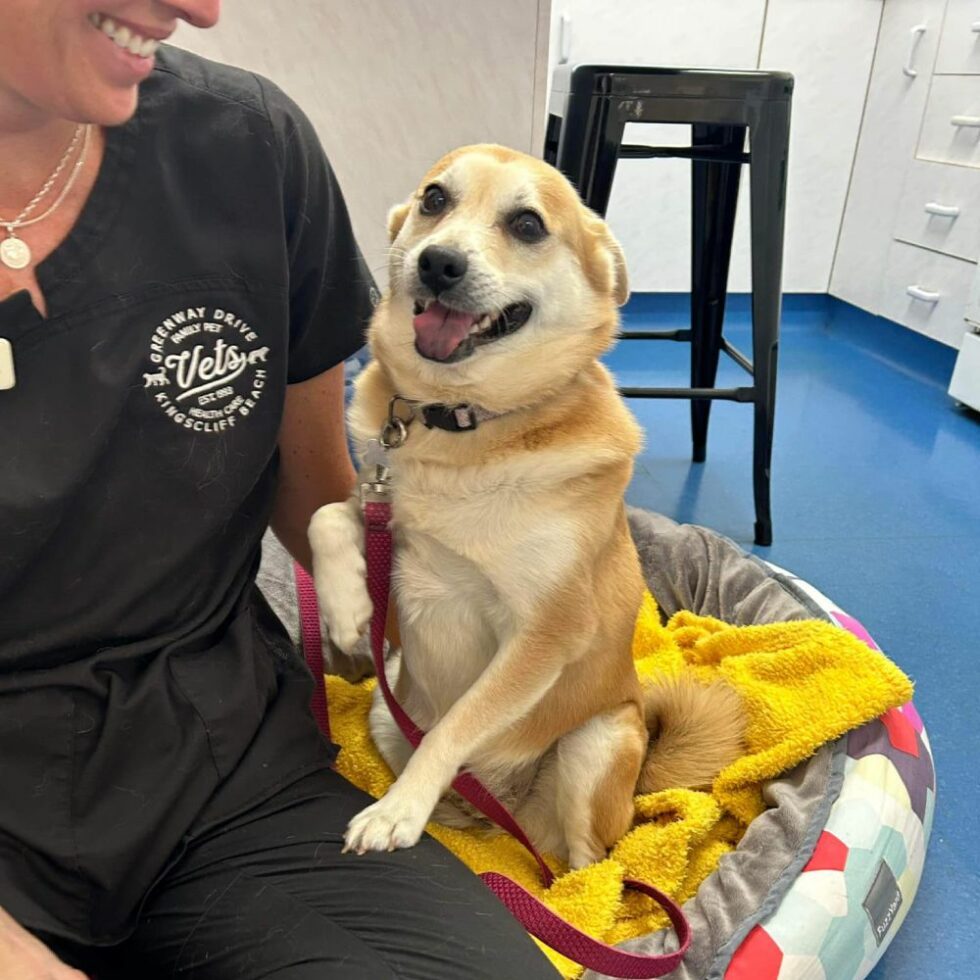 Anaesthesia and Patient Monitoring - Greenway Drive and Kingscliff ...