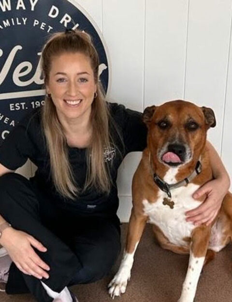 Our Team - Greenway Drive and Kingscliff Veterinary Hospitals